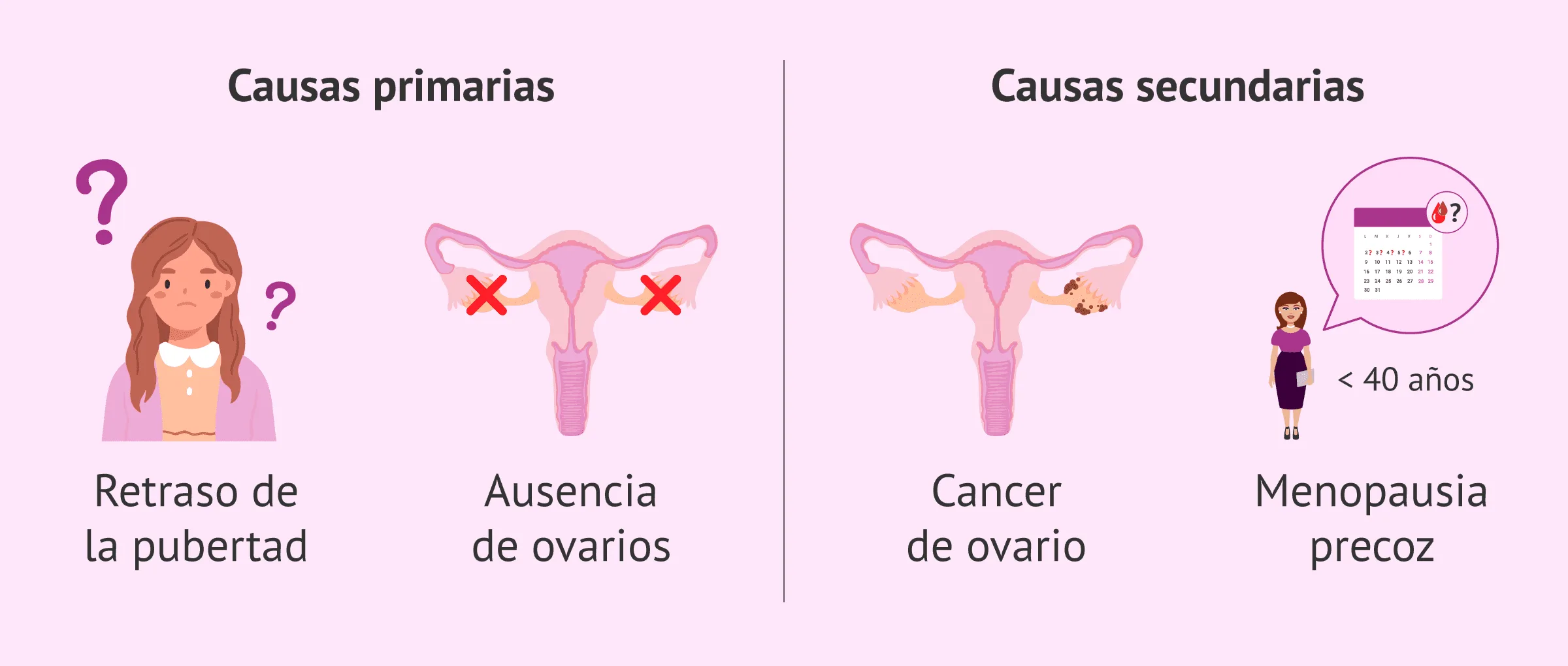Menopausia: Óvulos, ciclos irregulares y fin de la menstruación - Blog ...